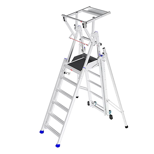 PIRL télescopique 6 à 9 marches avec portillon